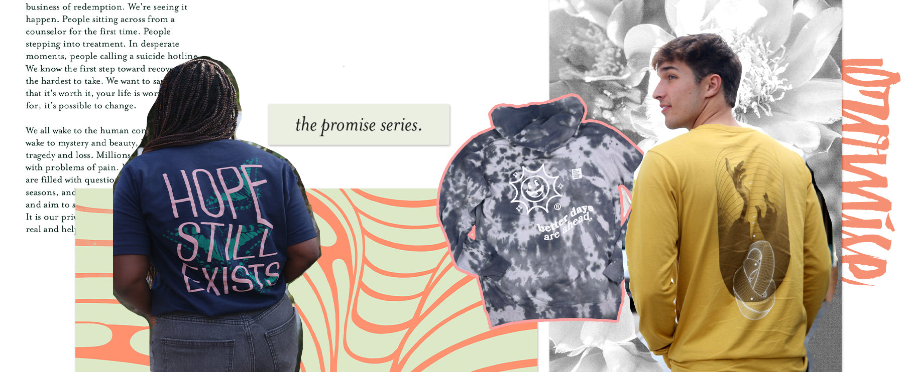 Promise Series – To Write Love on Her Arms.